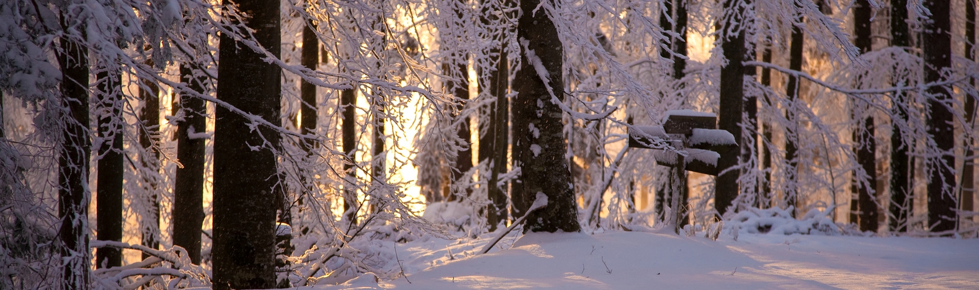 Gemeinde Hausham | Kindergärten und Kinderhorte